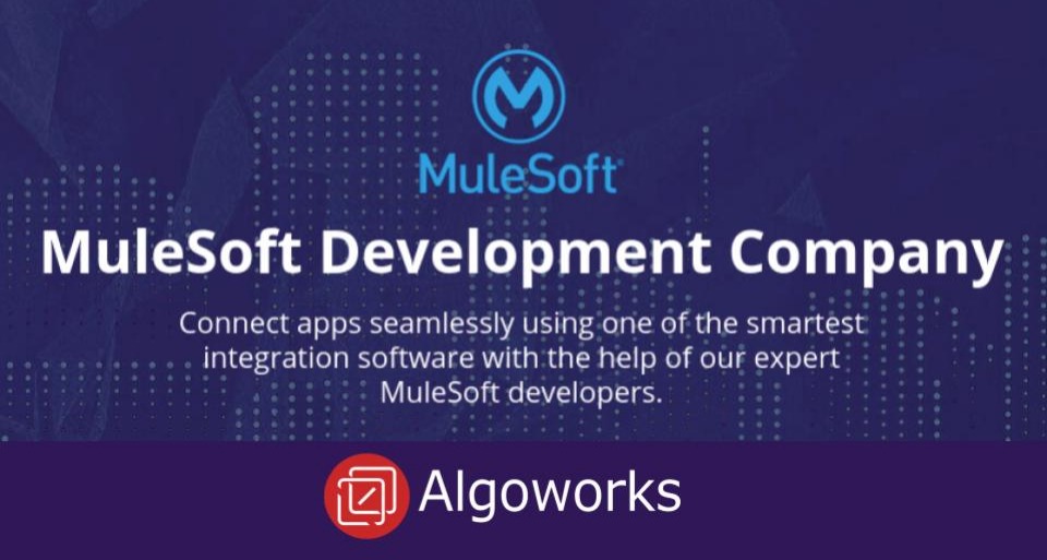 MuleSoft consulting, integration, and development services