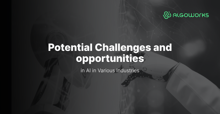 Potential Challenges and Opportunities in AI in Various Industries