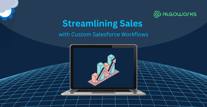 Salesforce Workflow Automation Step By Step Guide 4995